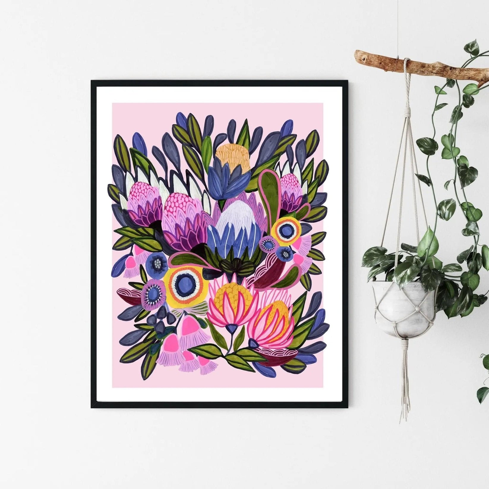 Protea Magnifica Fine Art Print – Kirsten Katz